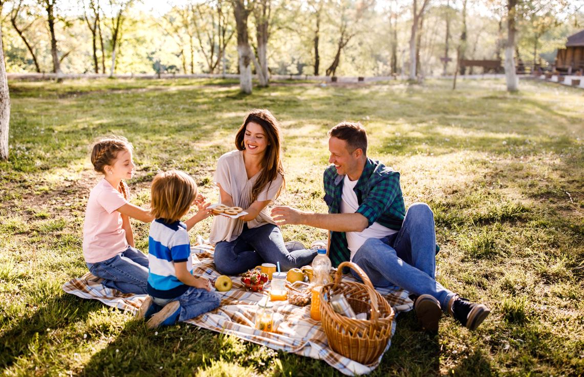 Tipps für das perfekte Familien-Picknick – SILVlife